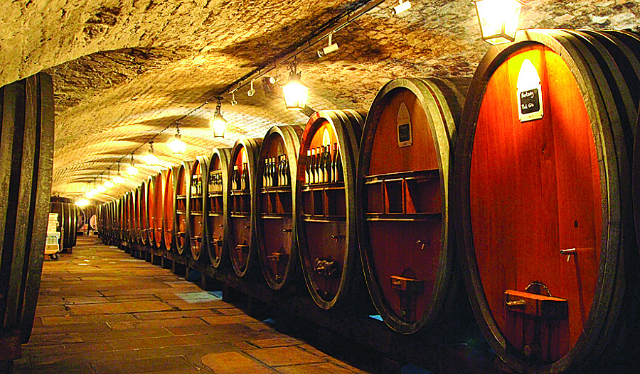 Une cave atypique - L'Echo d'Alsace