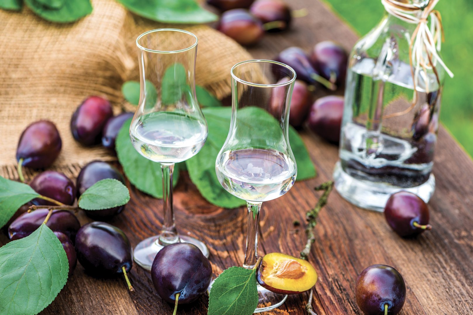 À TESTER : Les randonnées du Schnaps en Forêt-Noire - L'Echo d'Alsace